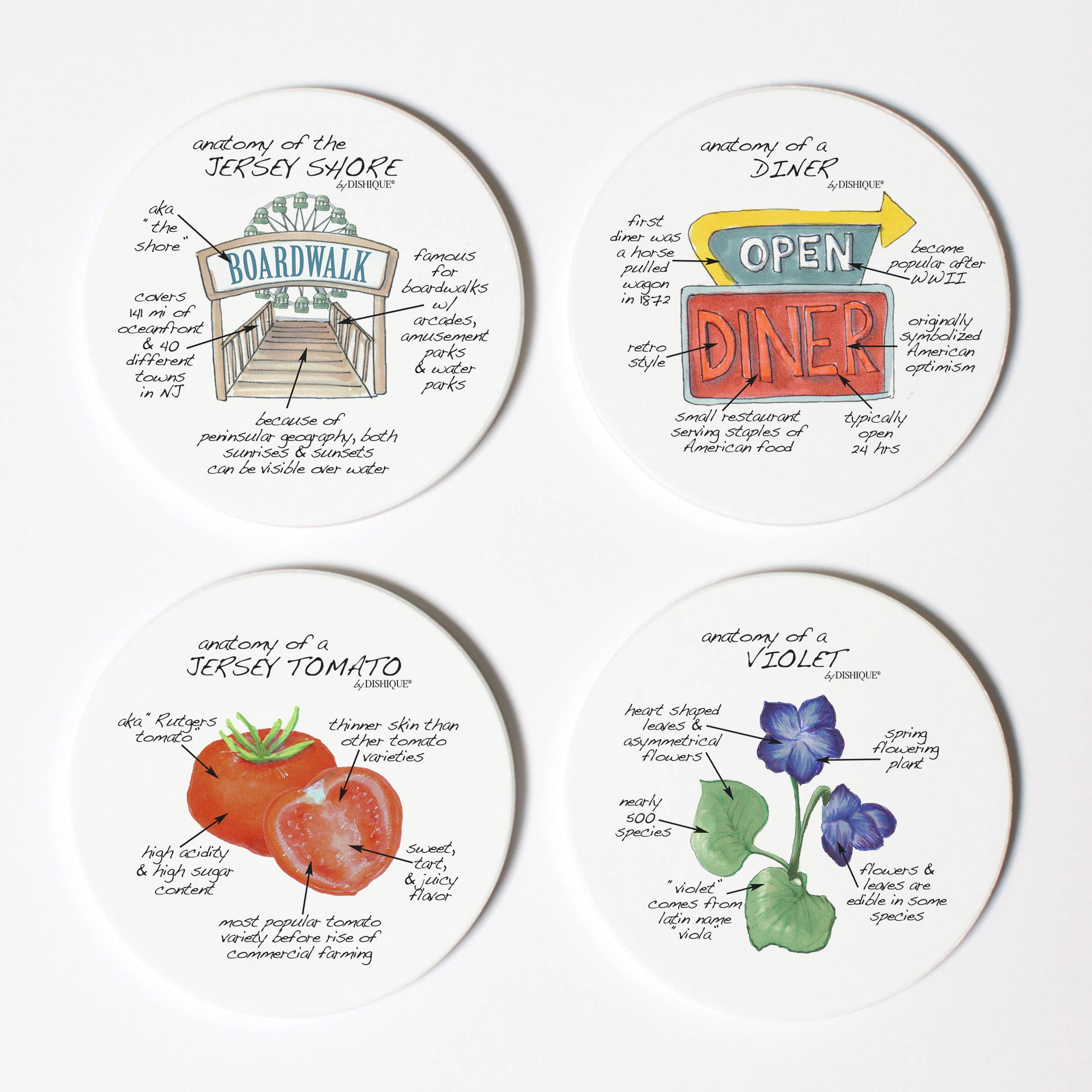 New Jersey Anatomy Coasters – Kitchen a la Mode