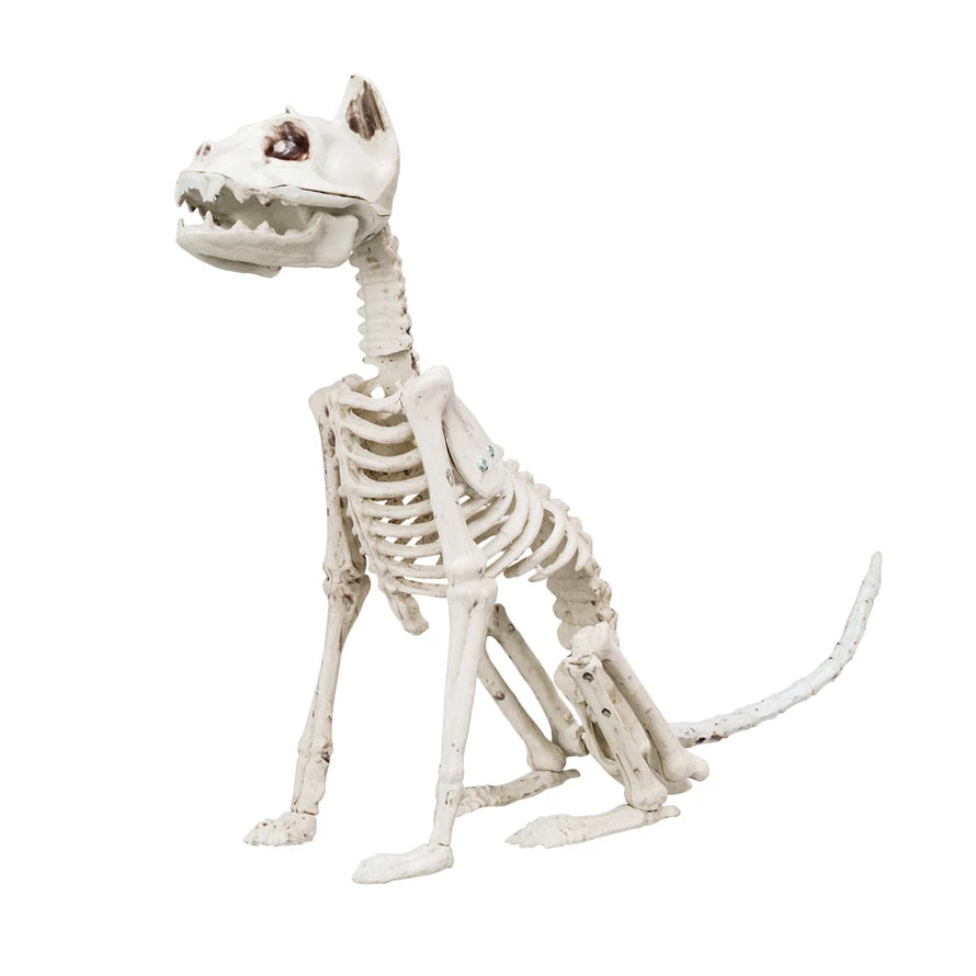 Plastic Cat Skeleton Decor – Kitchen a la Mode
